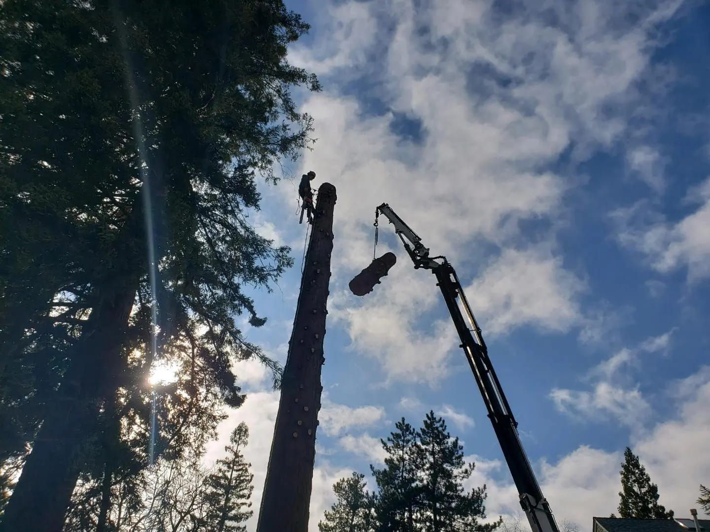 Specialty Cranes | Southern Oregon | Cook Crane Corporation