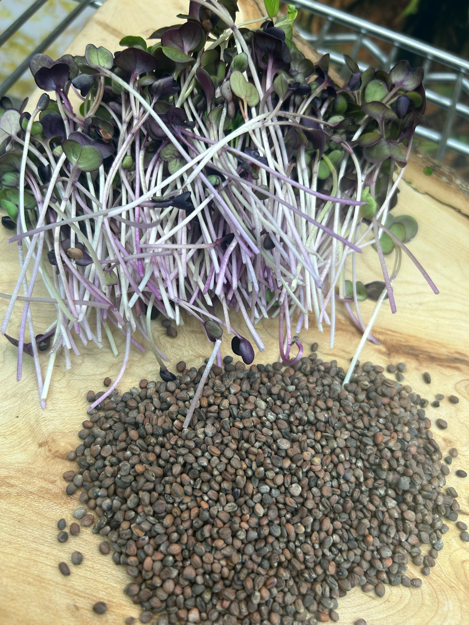 About Us | Primal Growth Microgreens