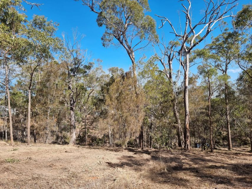 Land Recovery Mulching | Land Clearing in Bundaberg