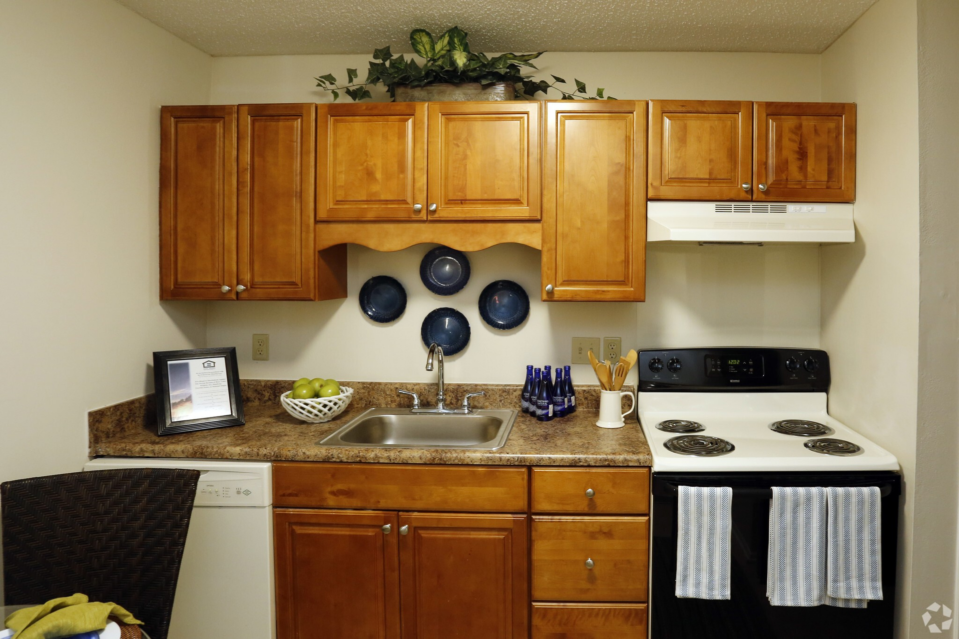 Apartments for Rent | Coastal Pointe Apartments | Mobile, AL