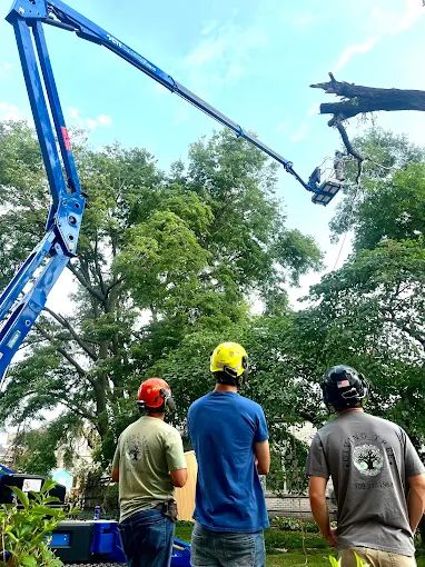 Local Tree Company | Giving Tree Land Development