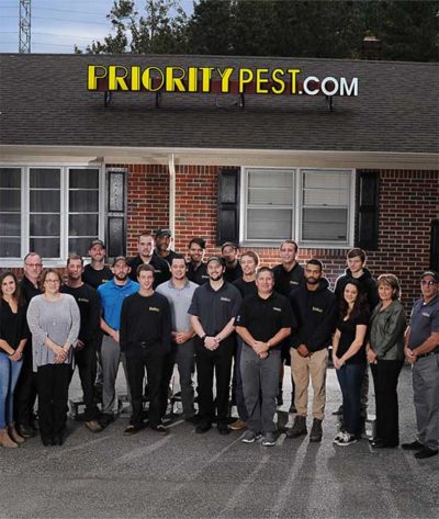 Pest Control Hampton Roads | VA Pro Exterminator & Termite Treatments