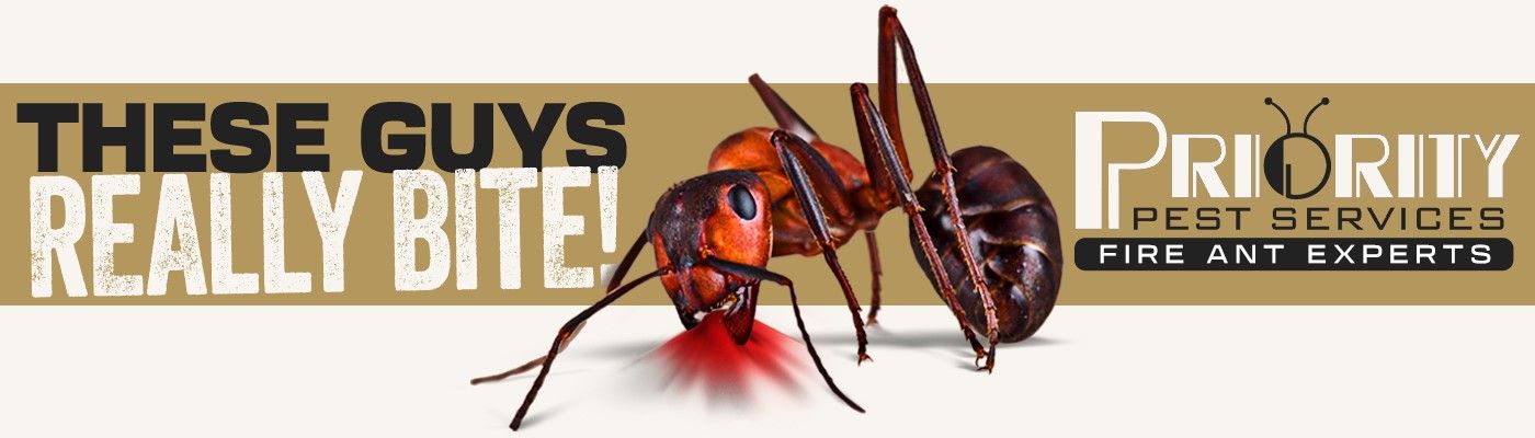 Pest Control Hampton Roads | VA Pro Exterminator & Termite Treatments