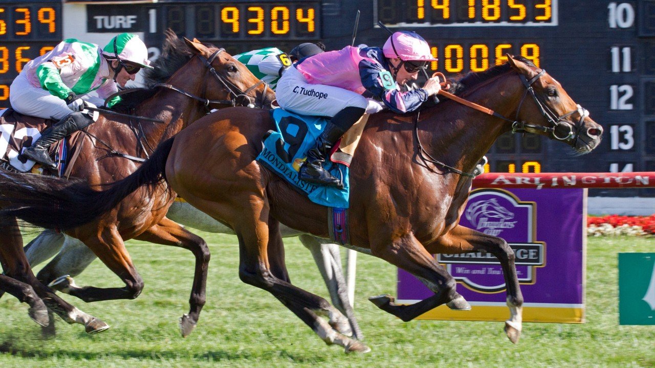 Home [www.elwickstud.co.uk]