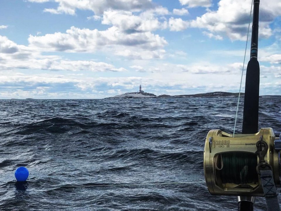 Blue Shark Fishing Charters | Halifax, Nova Scotia, Canada