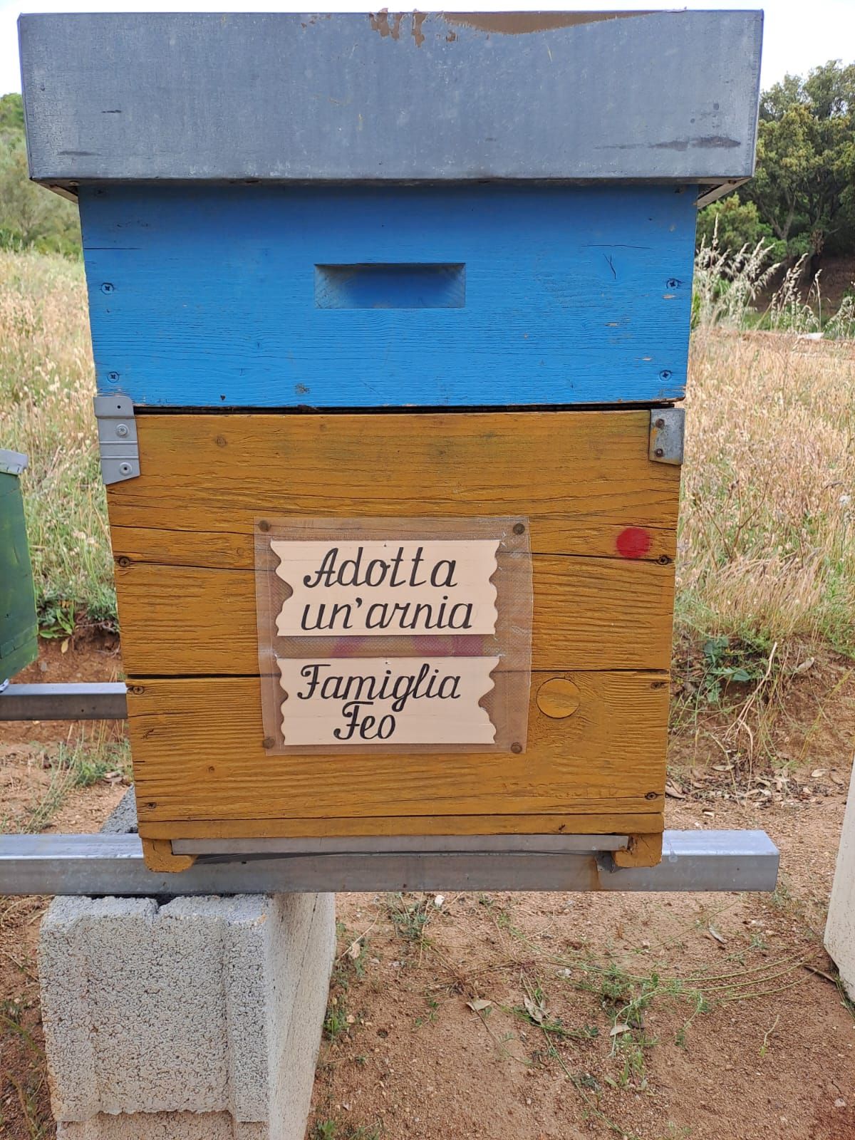 Adotta un alveare per salvare le api e gli apicoltori