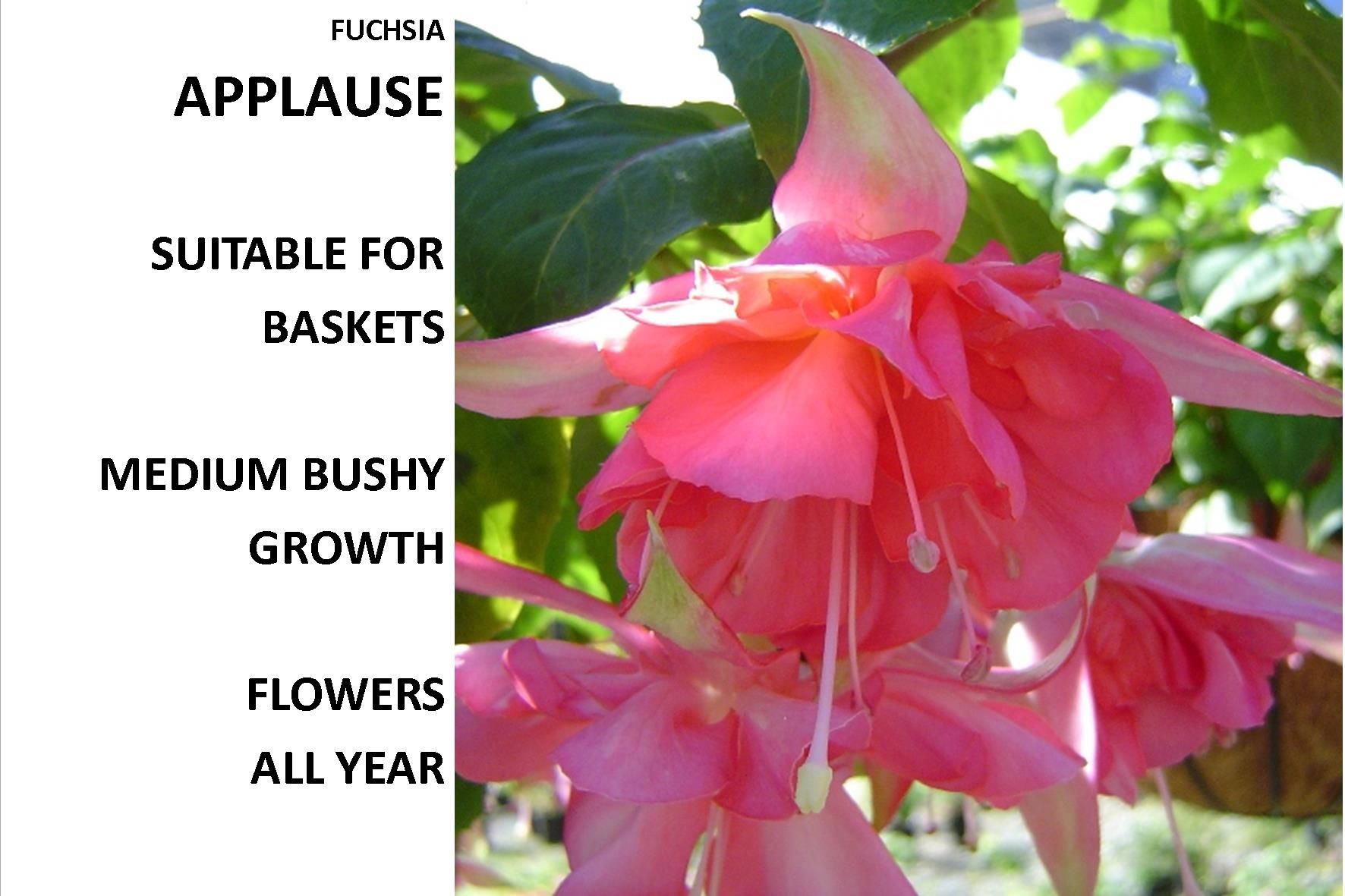 Weald View Gardens Information