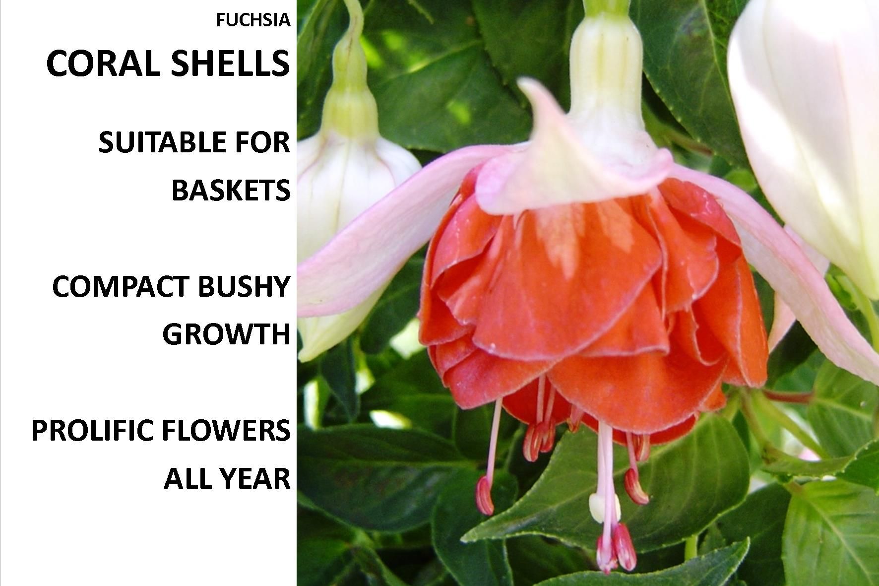 Weald View Gardens Information