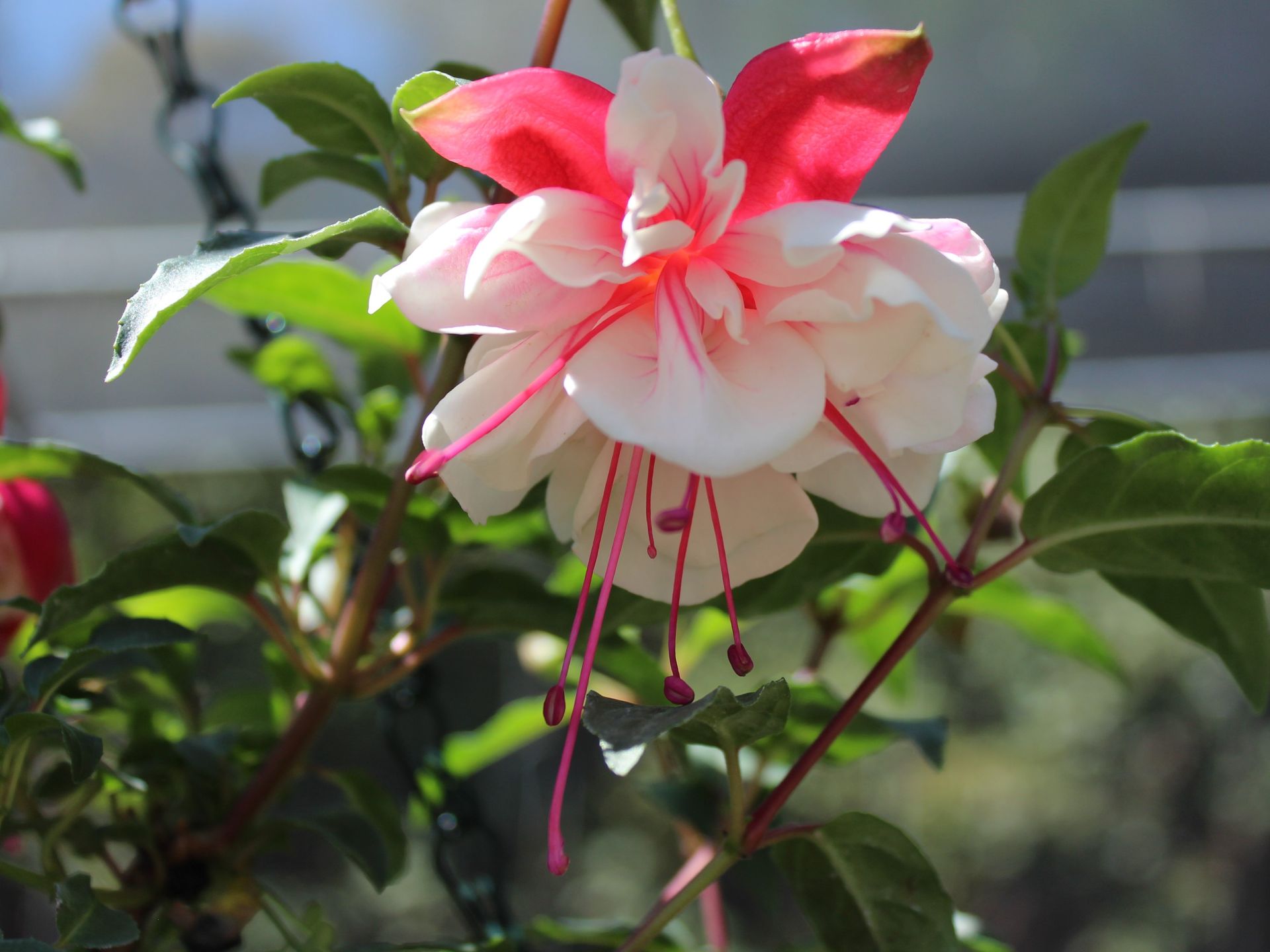 Weald View Gardens Information