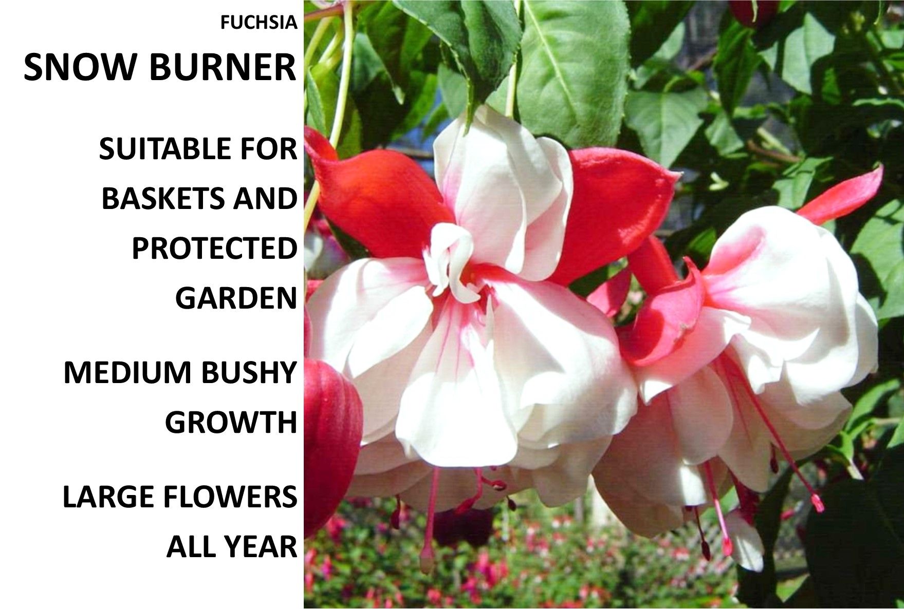 Weald View Gardens Information