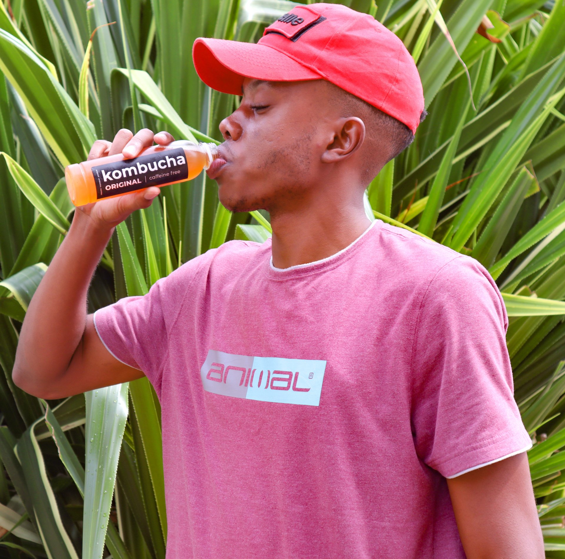 Natural Health Supplements | Umoyo Natural Health