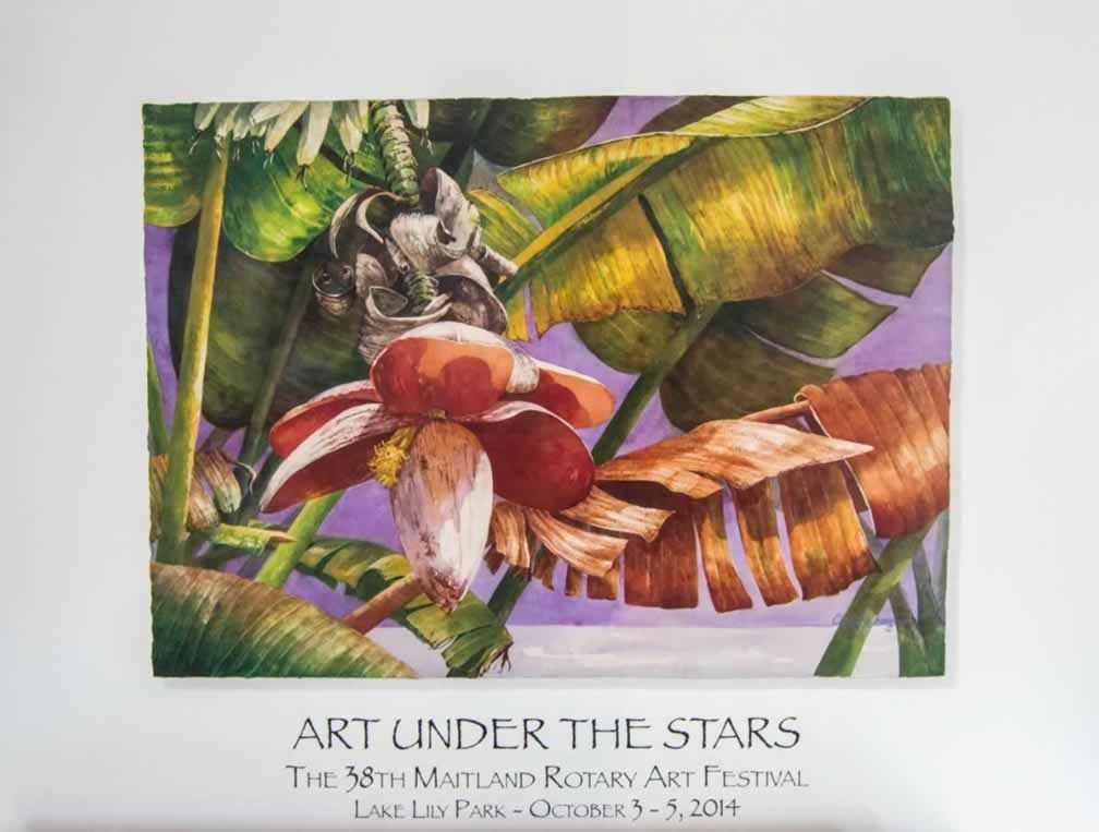 Annual Posters - Maitland Rotary Art Festival Archive