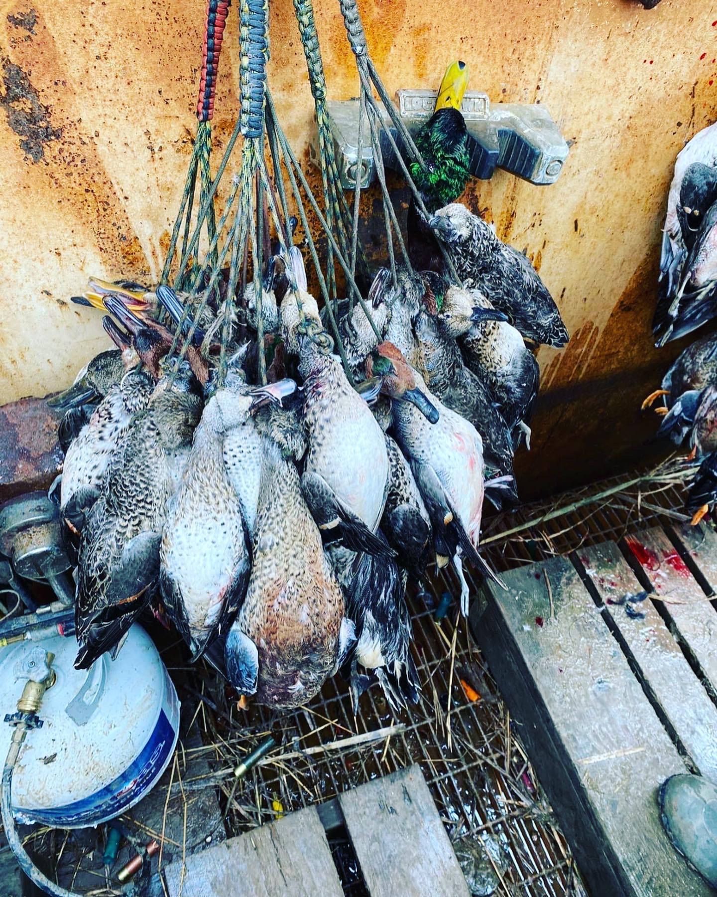 Best Hunting Outfitters | Duck Hunts | Boothill of Missouri