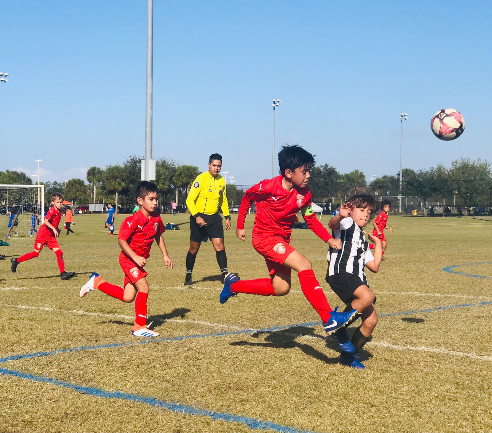 Hollywood FC - Photos