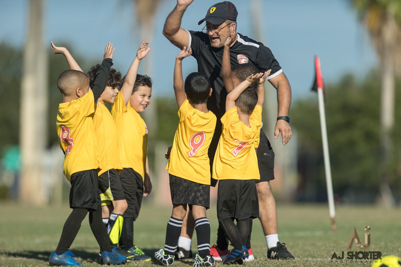 Hollywood FC - Programs