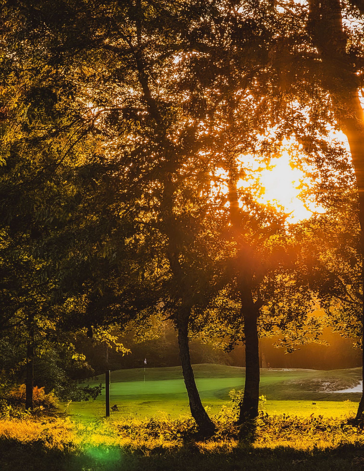 Holly Ridge Golf Course | Public Golf in Cape Cod