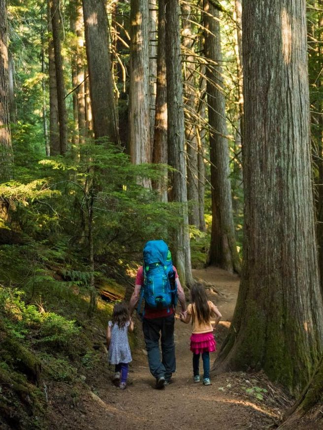 Alberta PNP - Alberta Advantage Immigration Program Requirements