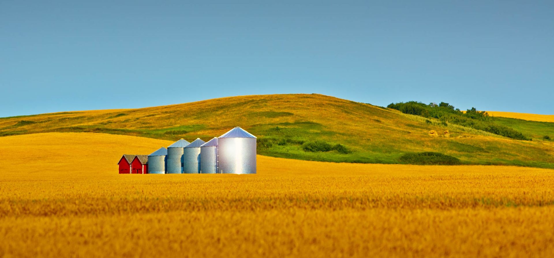 New Brunswick Provincial Nominee Program Immigration Requirements