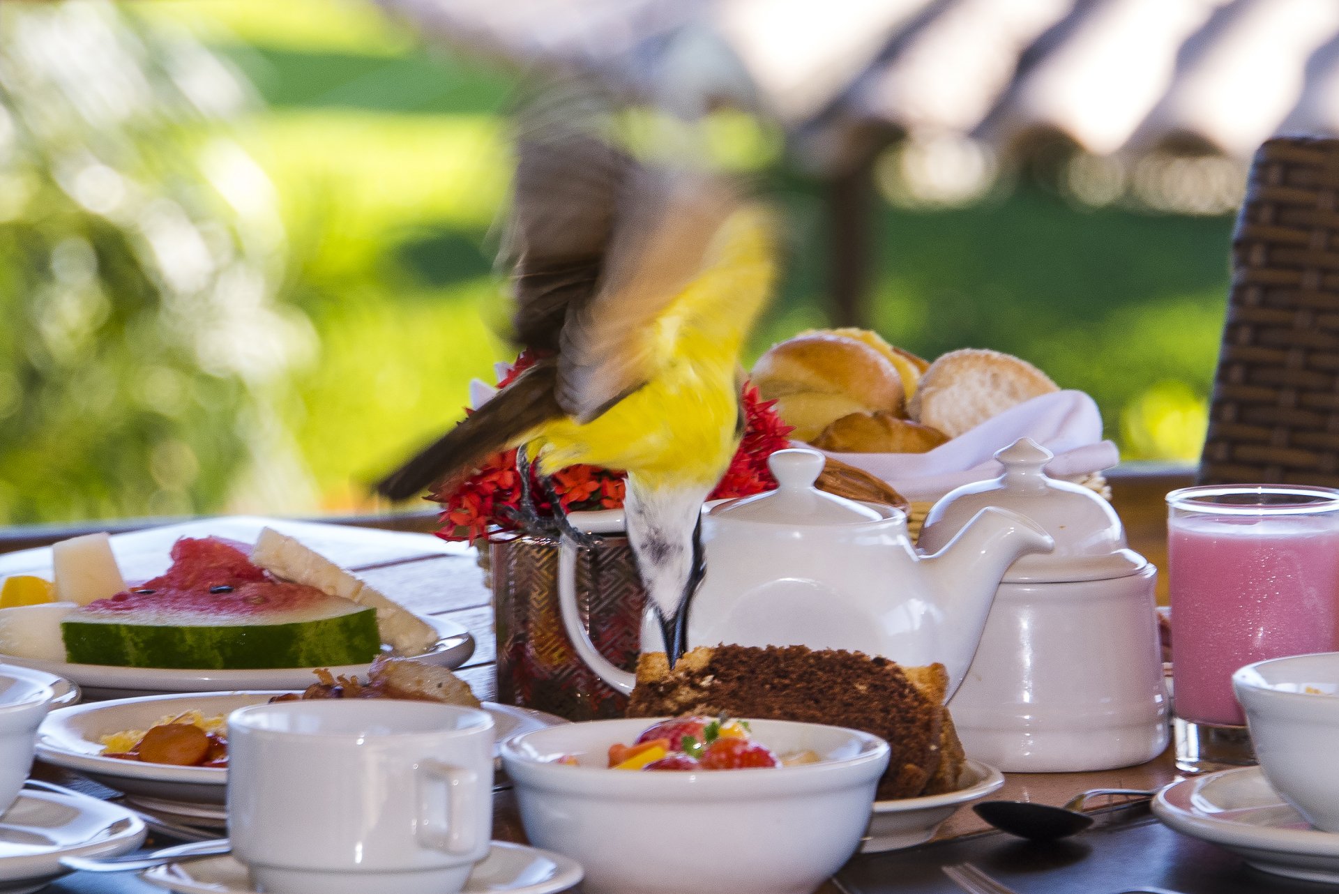 Restaurante Lagoa Lounge | Pipa Lagoa Hotel