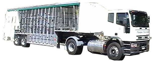The Glass Racking Company NZ - Glass Transport Solutions