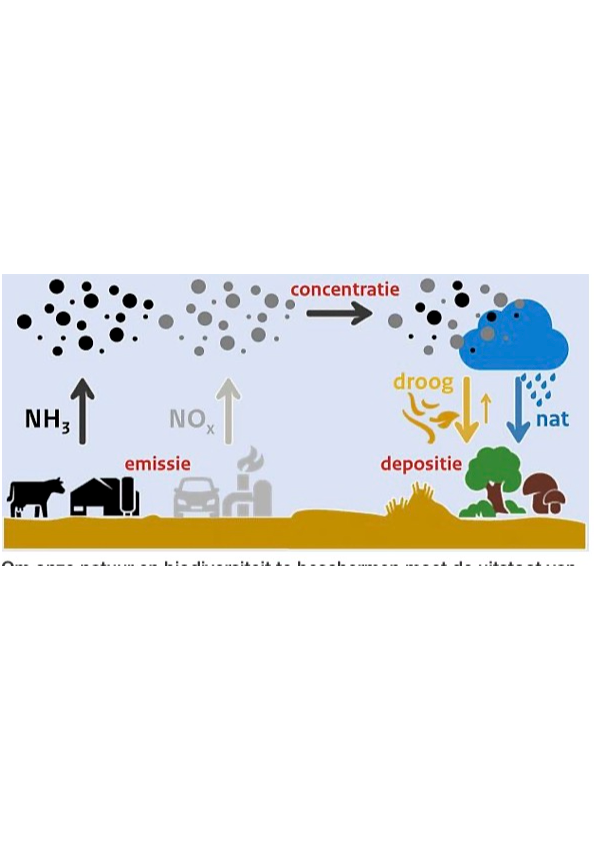 advies over stikstof en uitvoeren van stikstof berekeningen