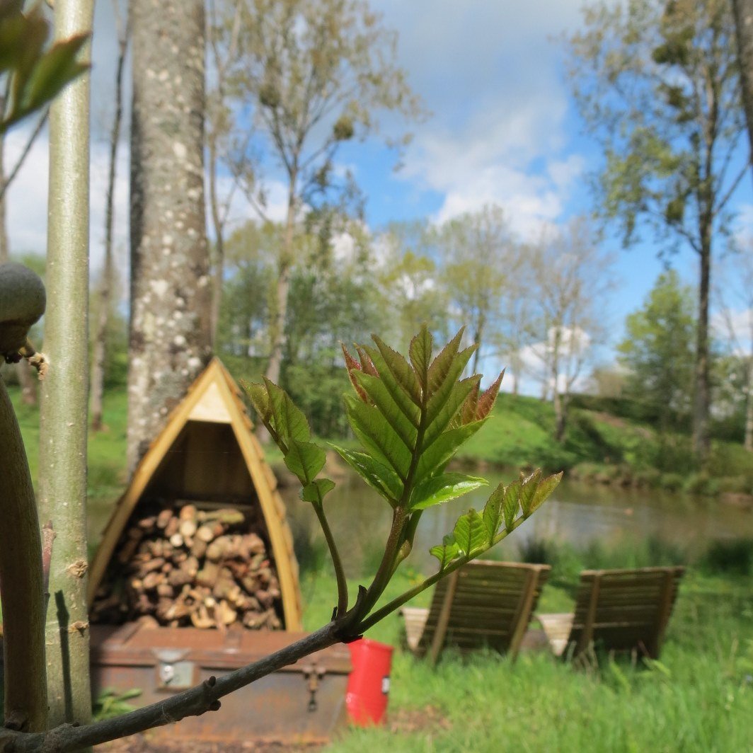 Award winning Luxury Treehouses | Treeopia