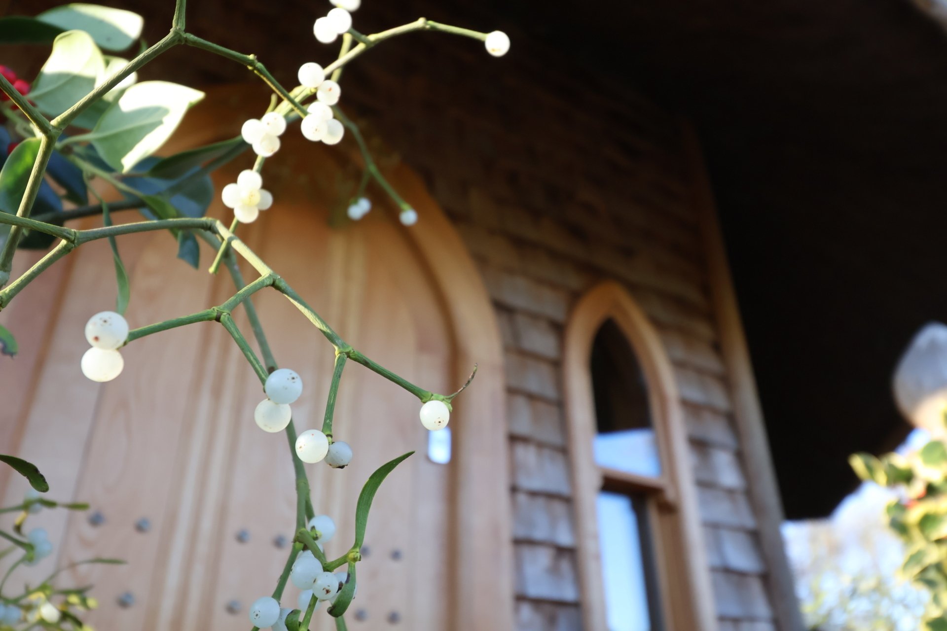 Award winning Luxury Treehouses | Treeopia