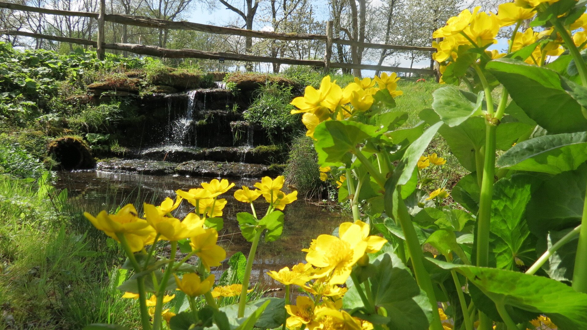 Award winning Luxury Treehouses | Treeopia