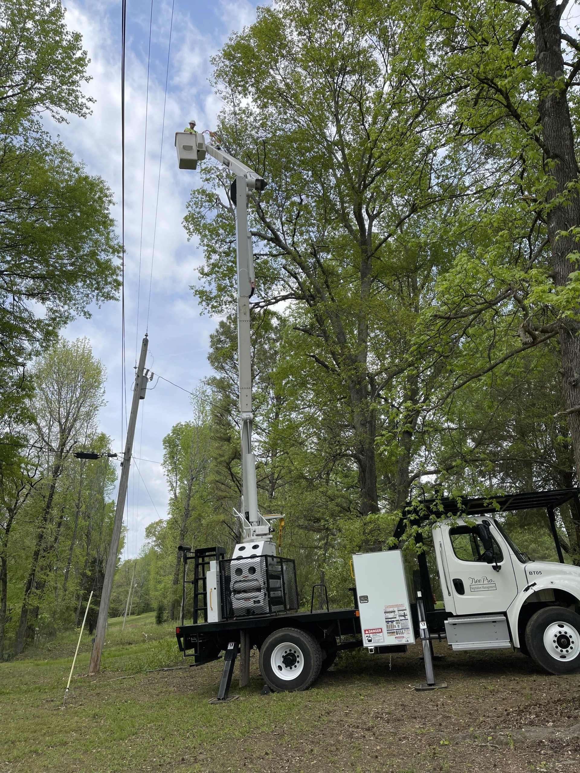 Tree Pruning Near Me | Killen, Alabama | Tree Pro Inc.