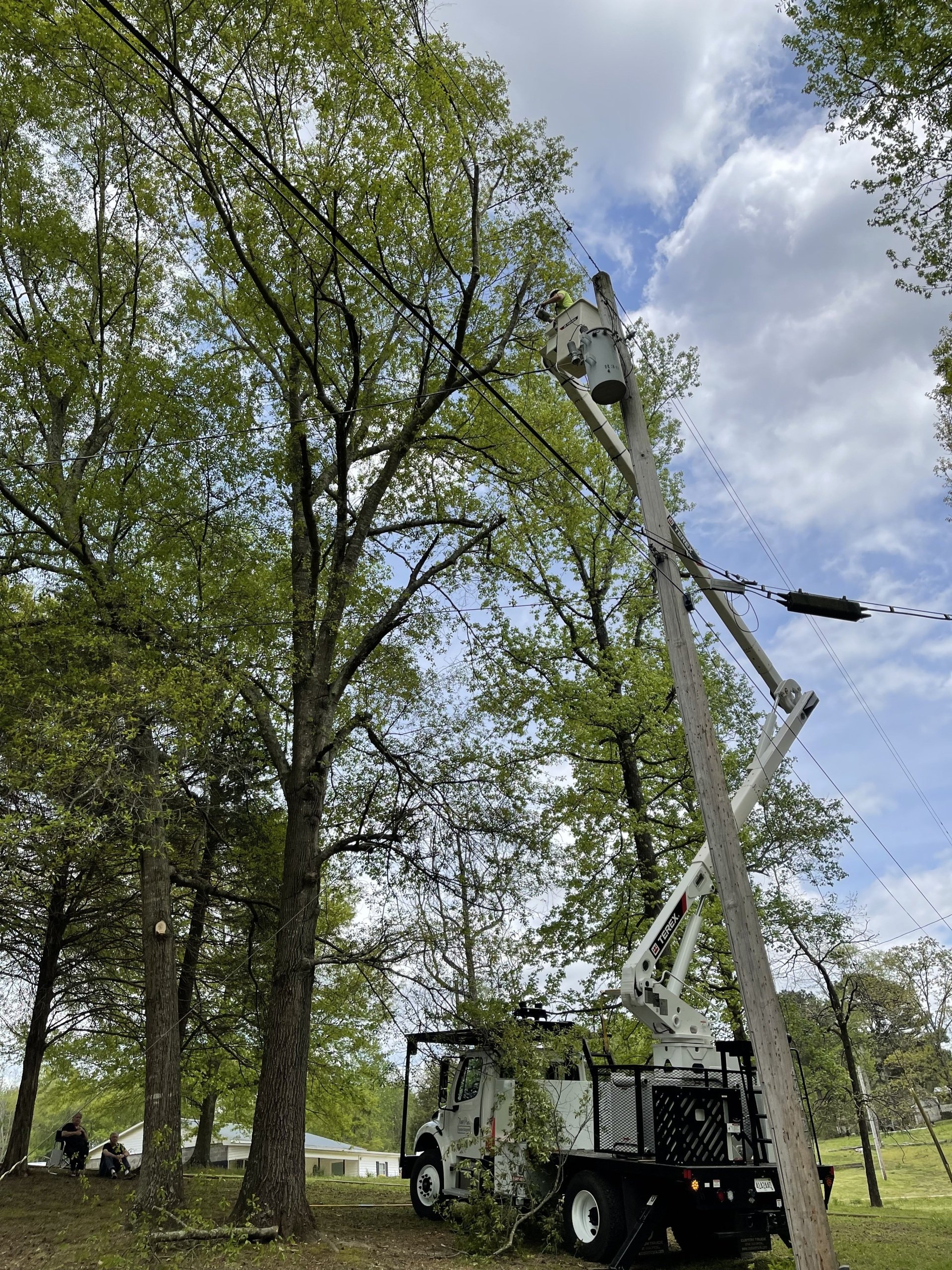 Tree Pruning Near Me | Killen, Alabama | Tree Pro Inc.