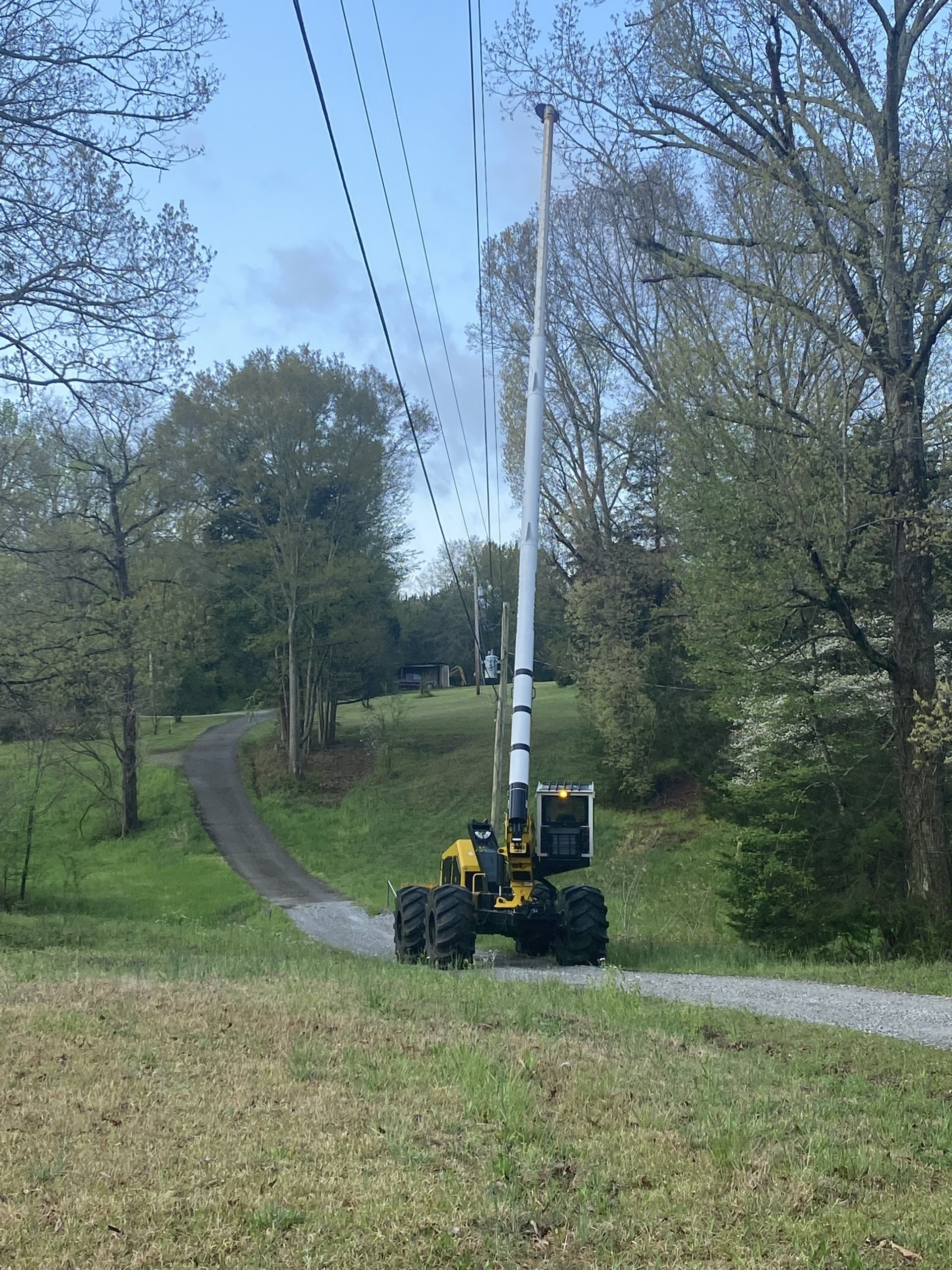 Tree Pruning Near Me | Killen, Alabama | Tree Pro Inc.