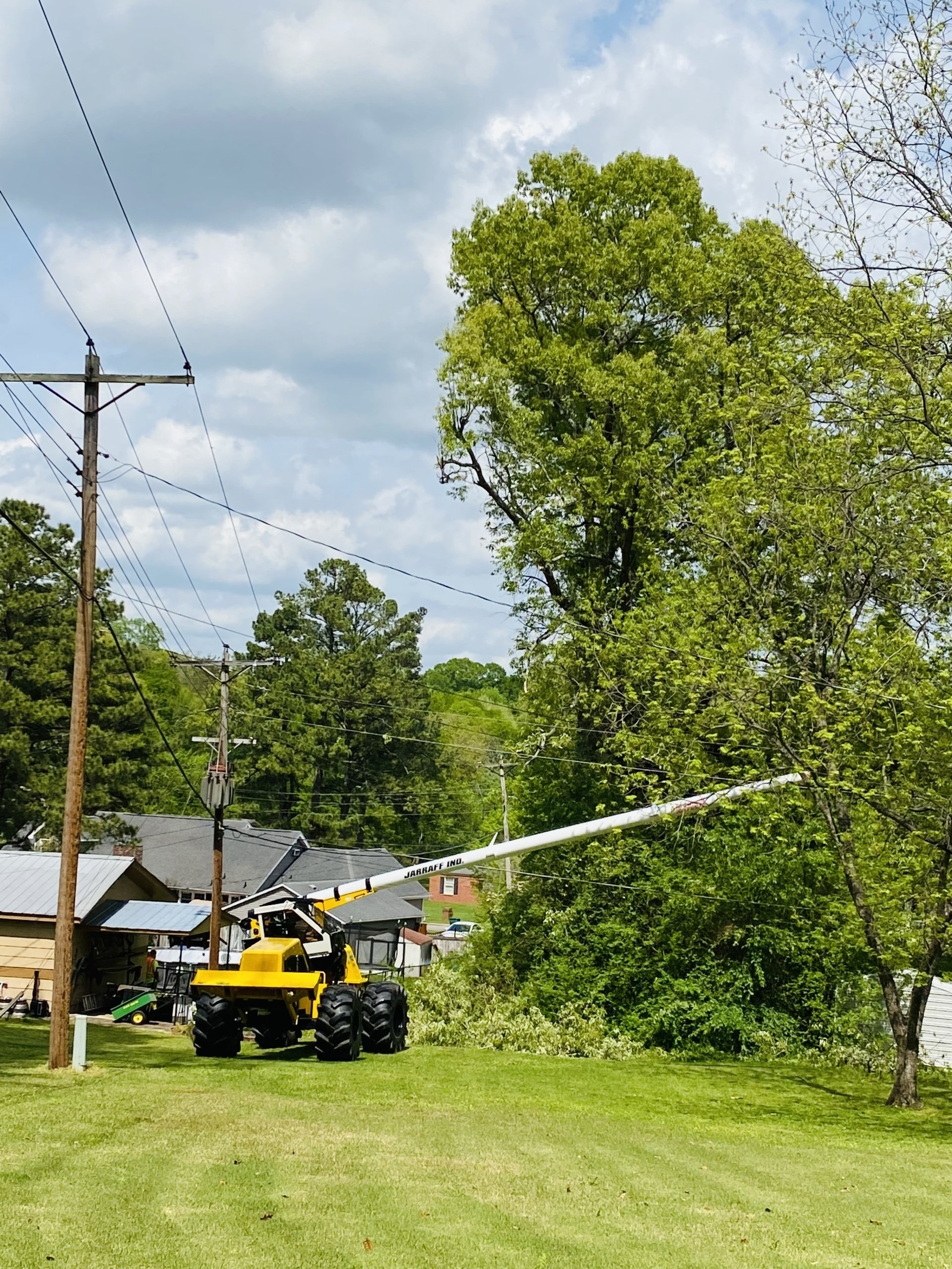 Tree Pruning Near Me | Killen, Alabama | Tree Pro Inc.