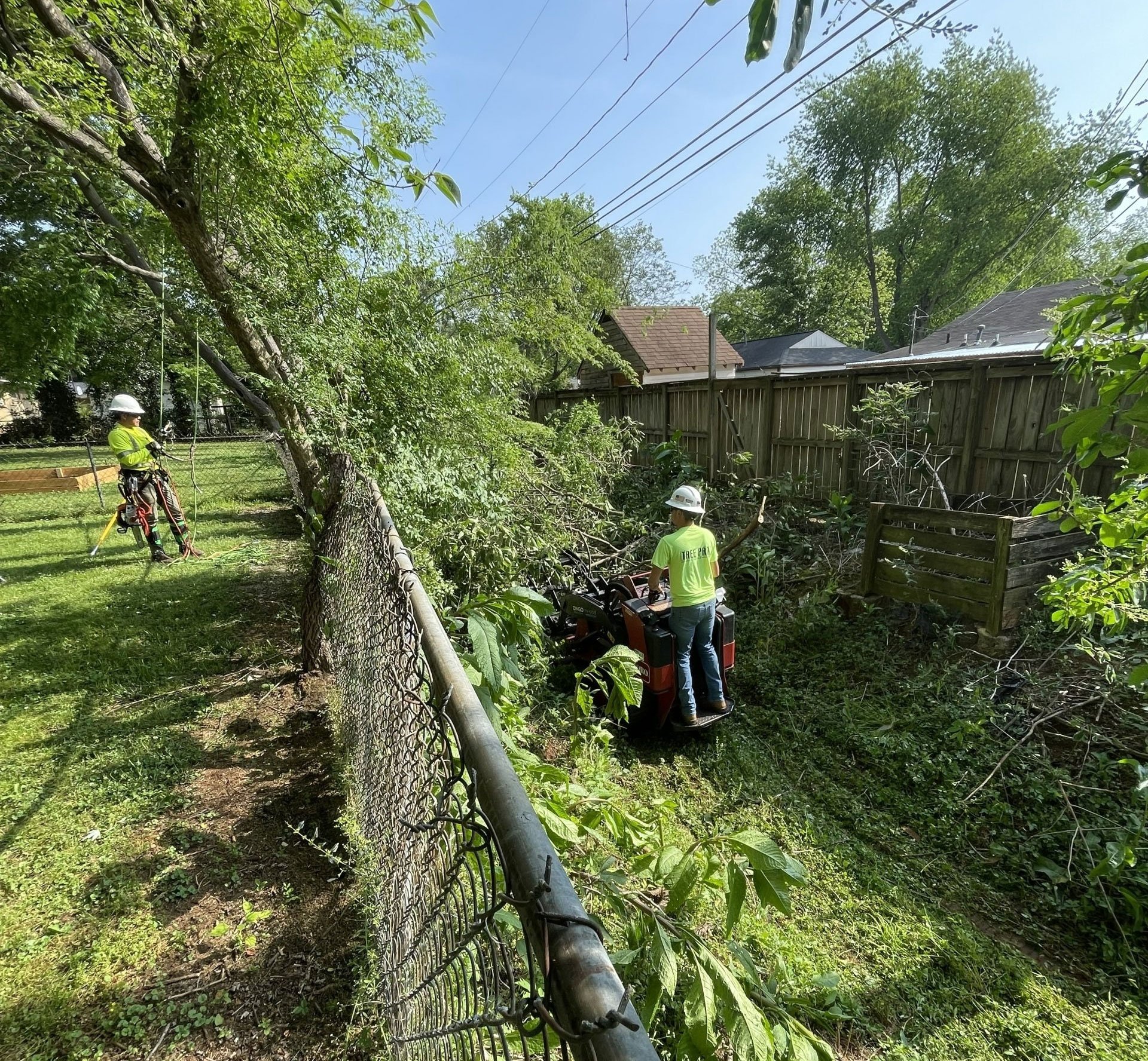 Tree Removal | Killen, Alabama | Tree Pro Inc.