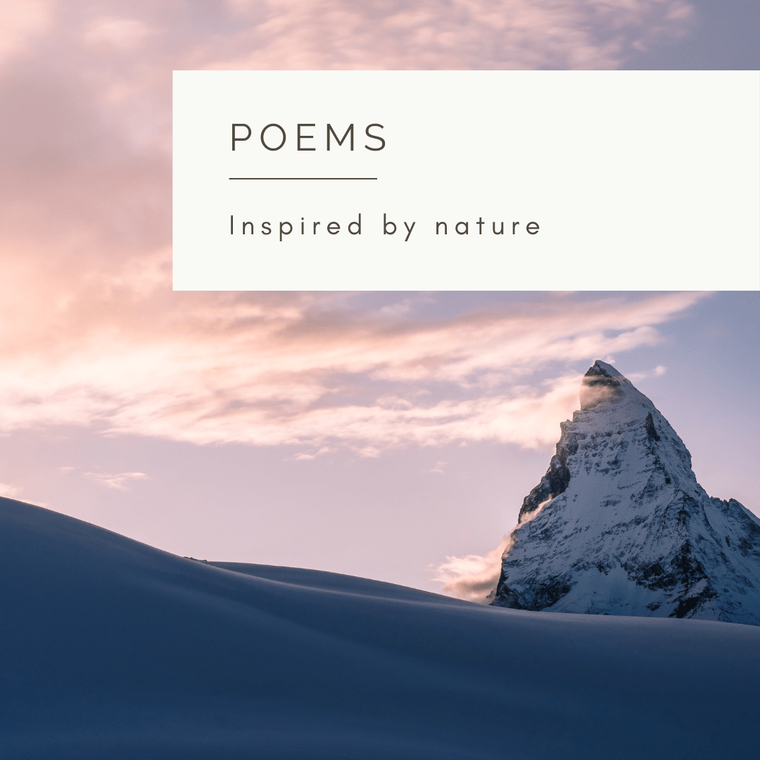 Videos inspired by Nature in words, photography, music