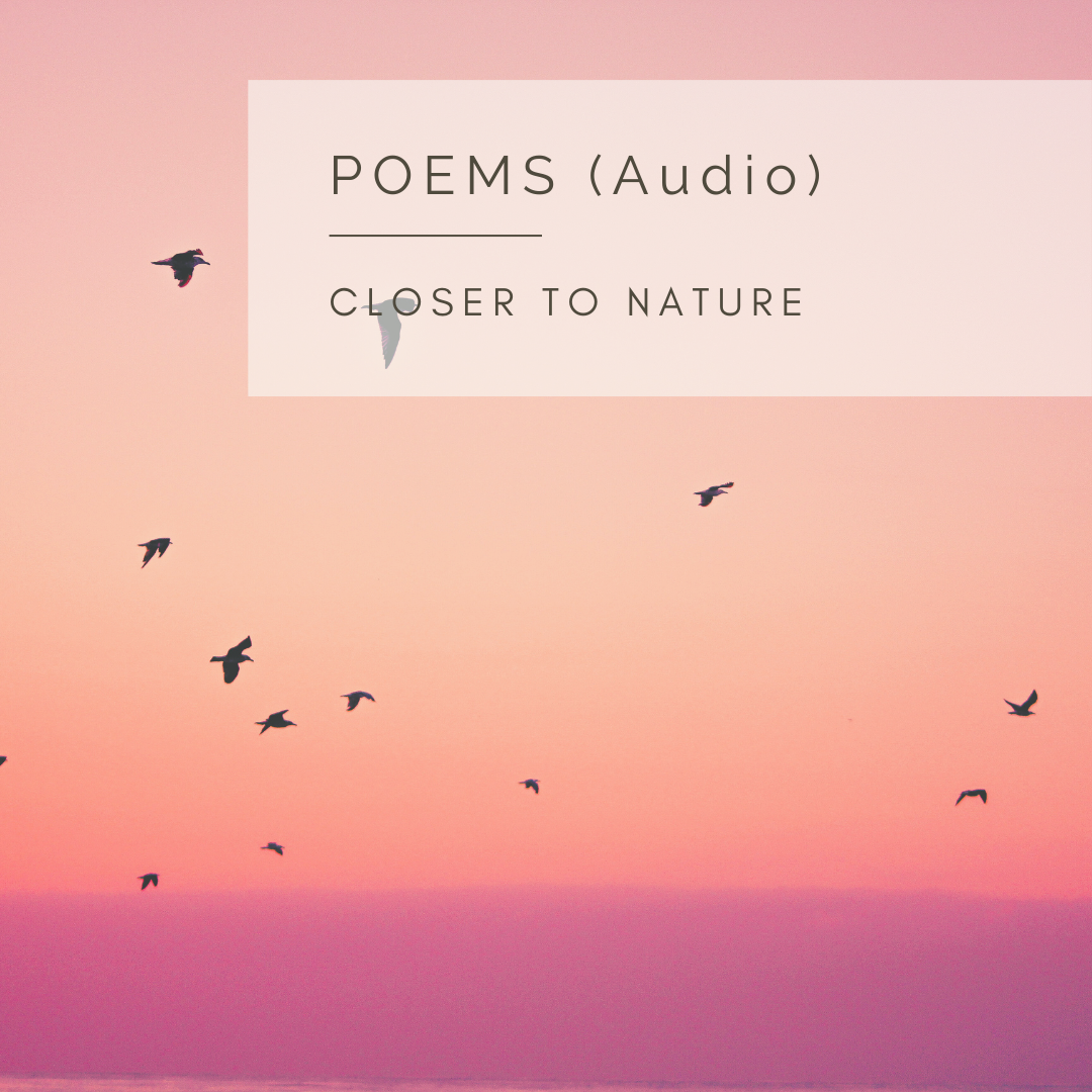 Videos inspired by Nature in words, photography, music