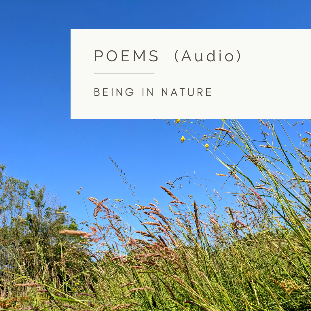 Videos inspired by Nature in words, photography, music