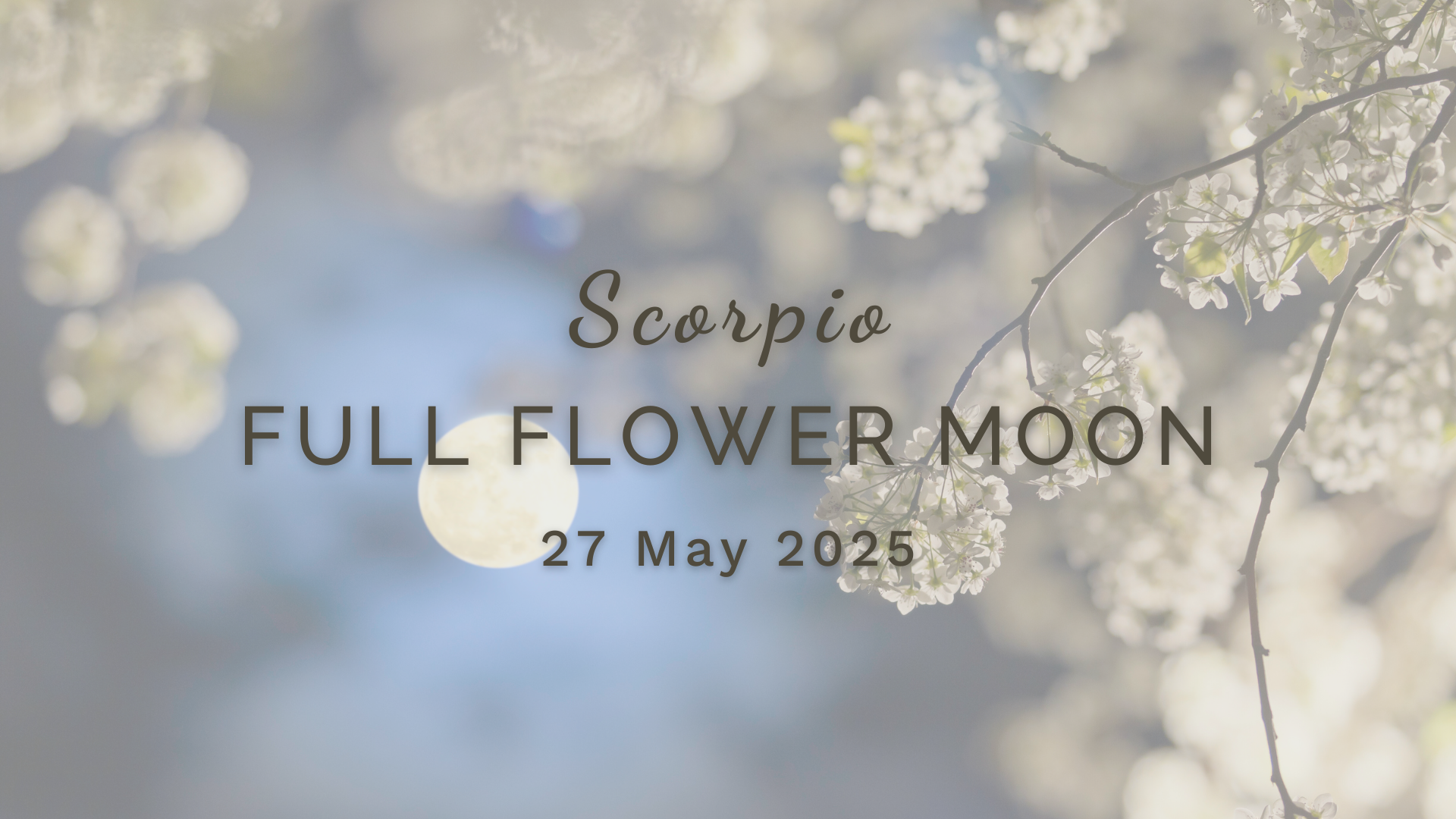 A poem about tunining into the energy of the Full Flower Moon