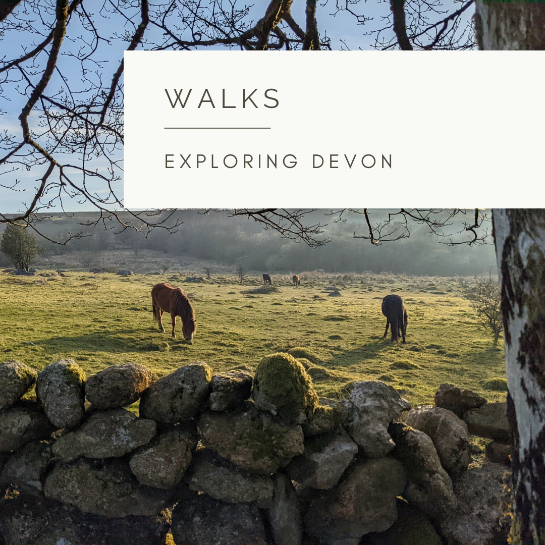 Videos inspired by Nature in words, photography, music