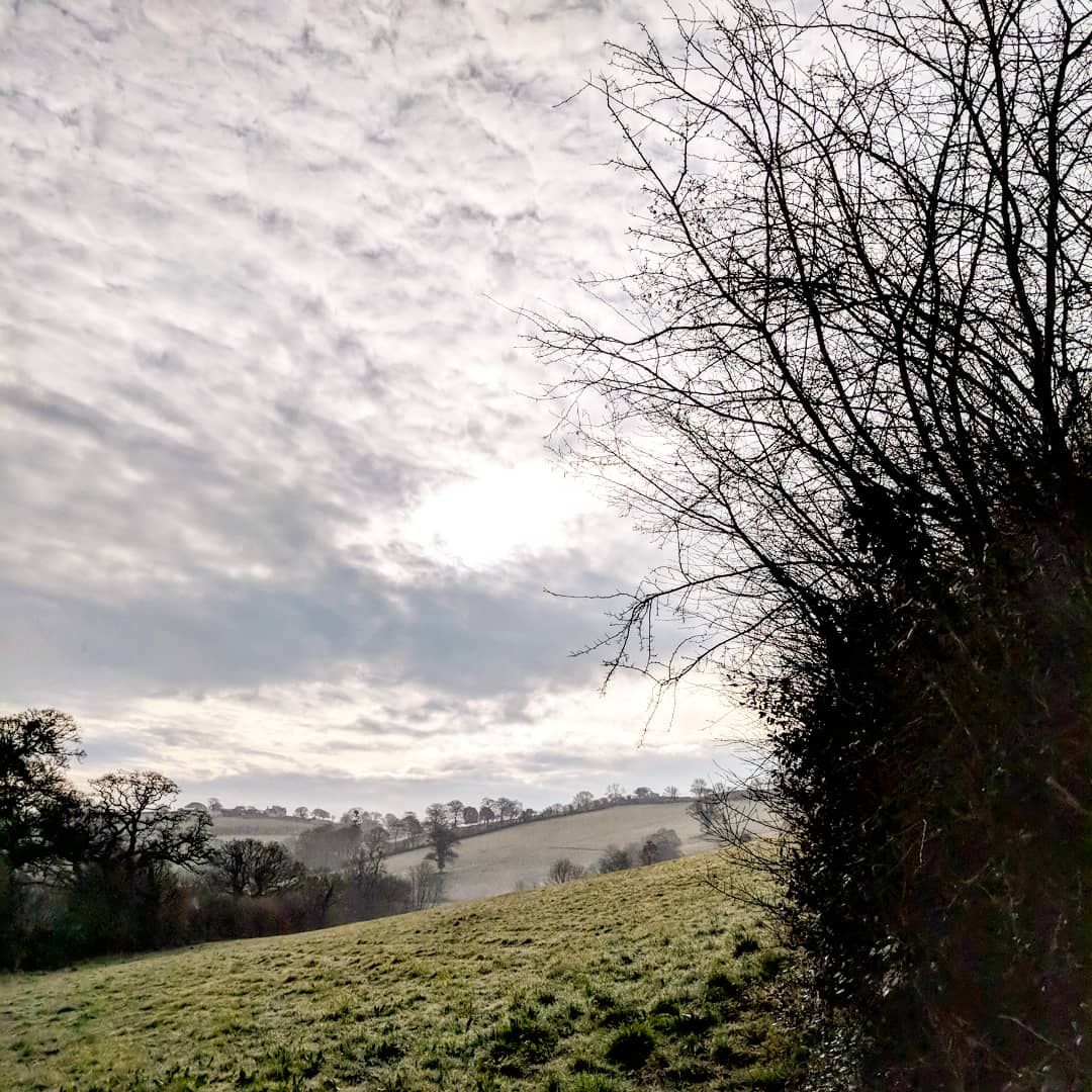 A poem about January and the first month of a new year