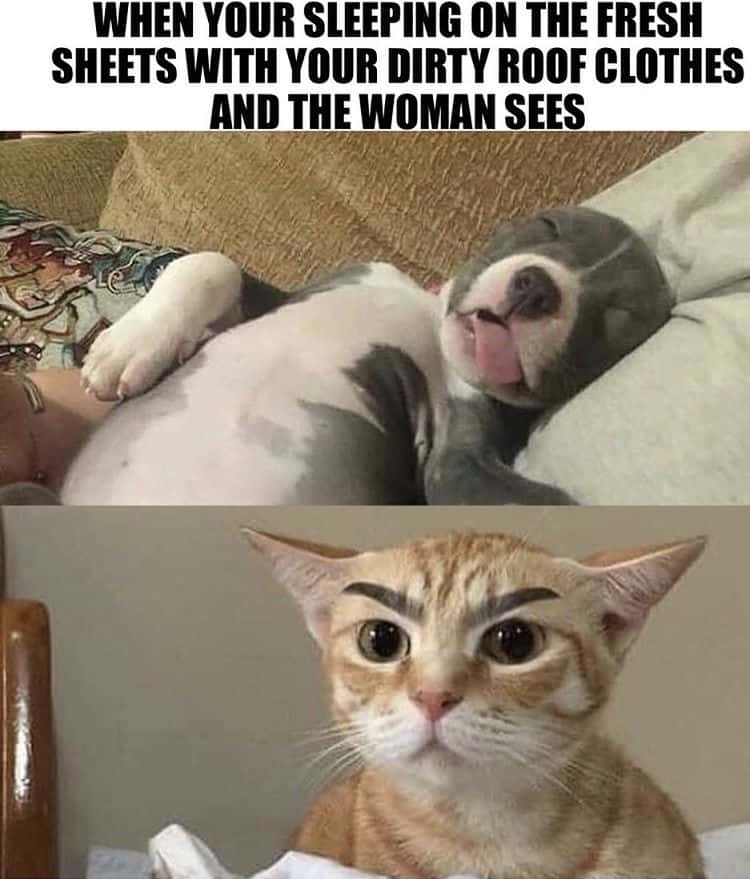 Top 50+ Funny Roofer Memes of All Time 😅 😂 🤣