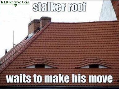 Top 50+ Funny Roofer Memes of All Time 😅 😂 🤣