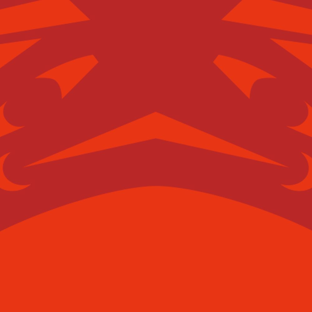 Vancouver Bandits Professional Basketball Team