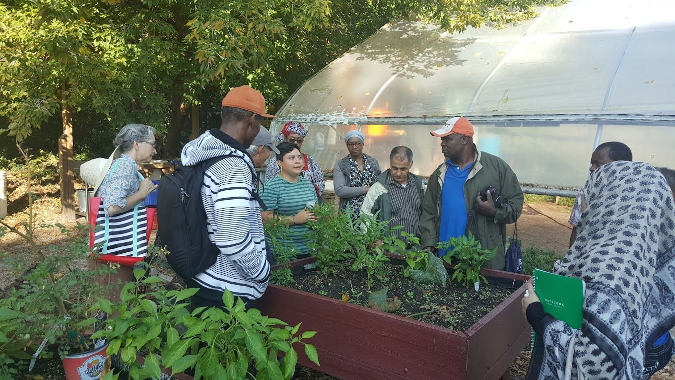 Staff Stories: Marceline Jones