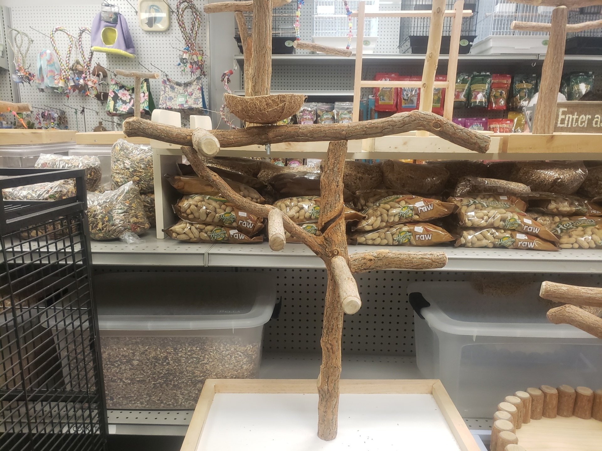 Exotic Baby Birds & Essentials | Long Island, NY