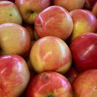 Produce Market | Everett, WA | 425-259-4702