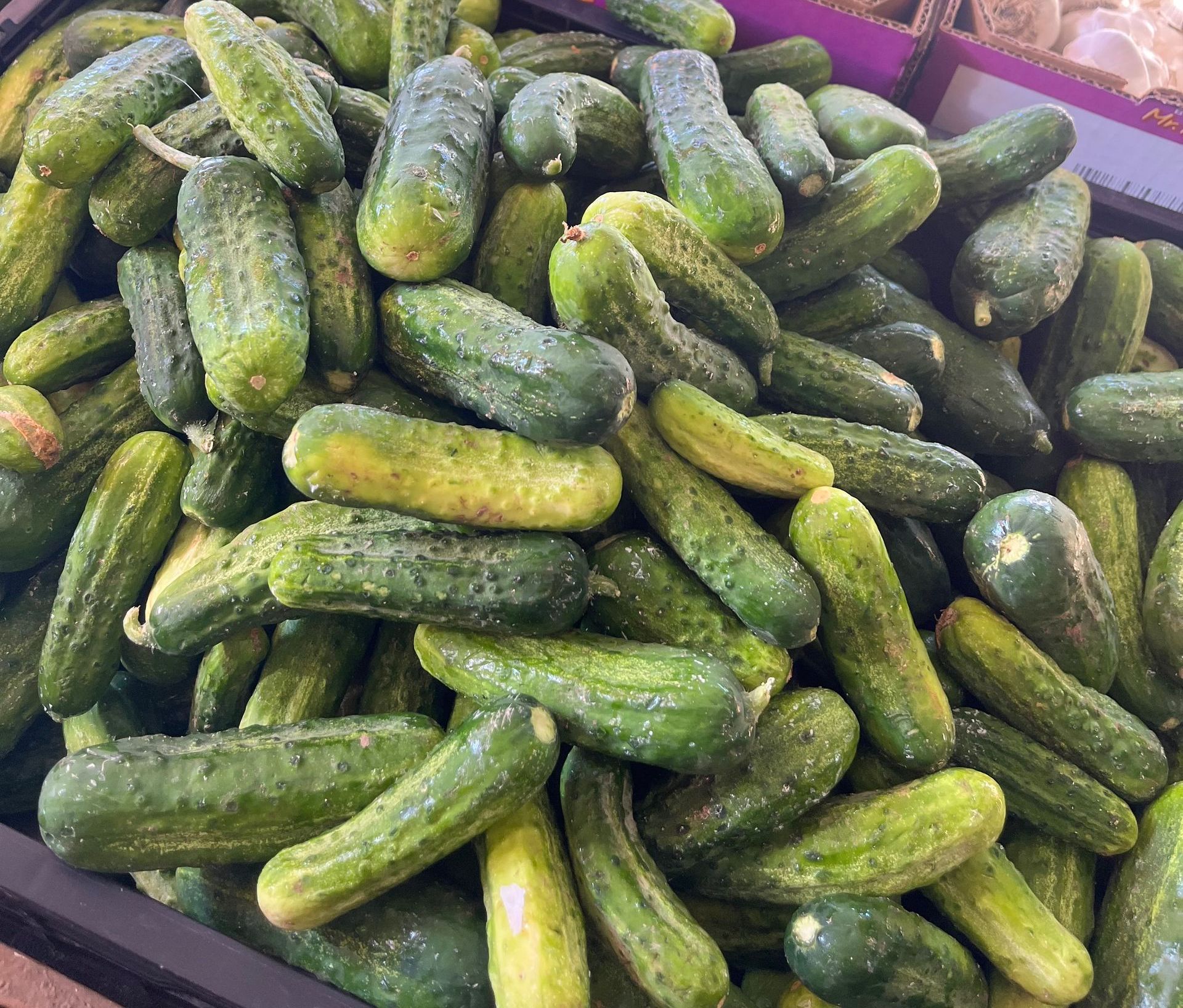 Produce Market | Everett, WA | 425-259-4702