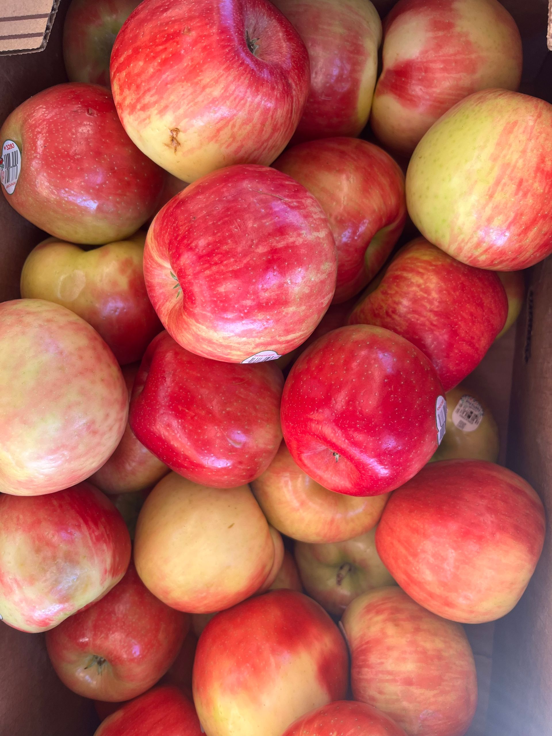 Produce Market | Everett, WA | 425-259-4702