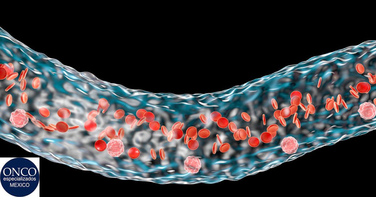 Bosentan 125 mg: Guía completa del medicamento precio
