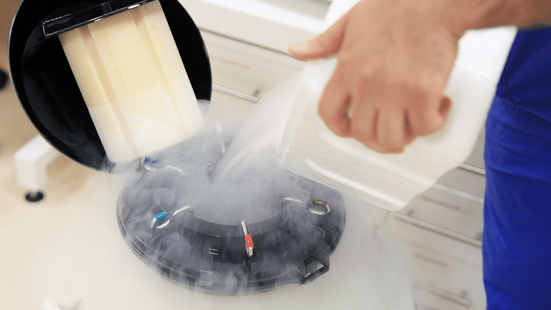 Transportation of Cryopreserved Biomaterial | Ovoria