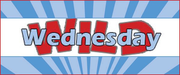 Specials | St. Cloud, MN | AirMaxx Trampoline Park - St. Cloud, MN